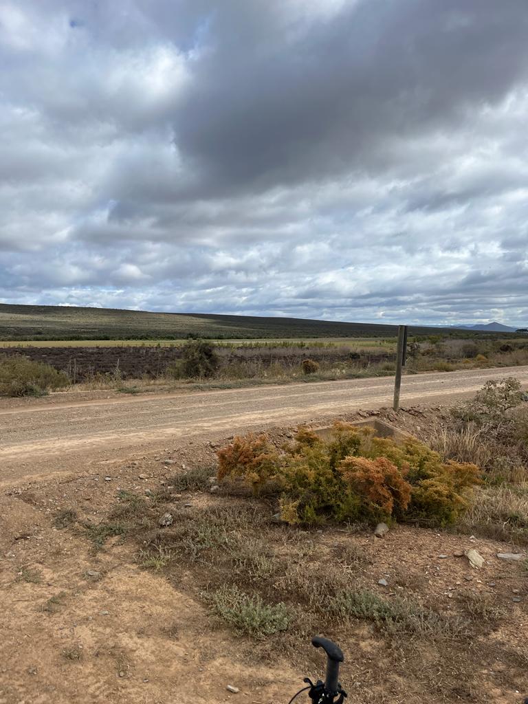 Barrydale Tarras Doas - 22km Cycle Experience | Entry Ninja – the best ...