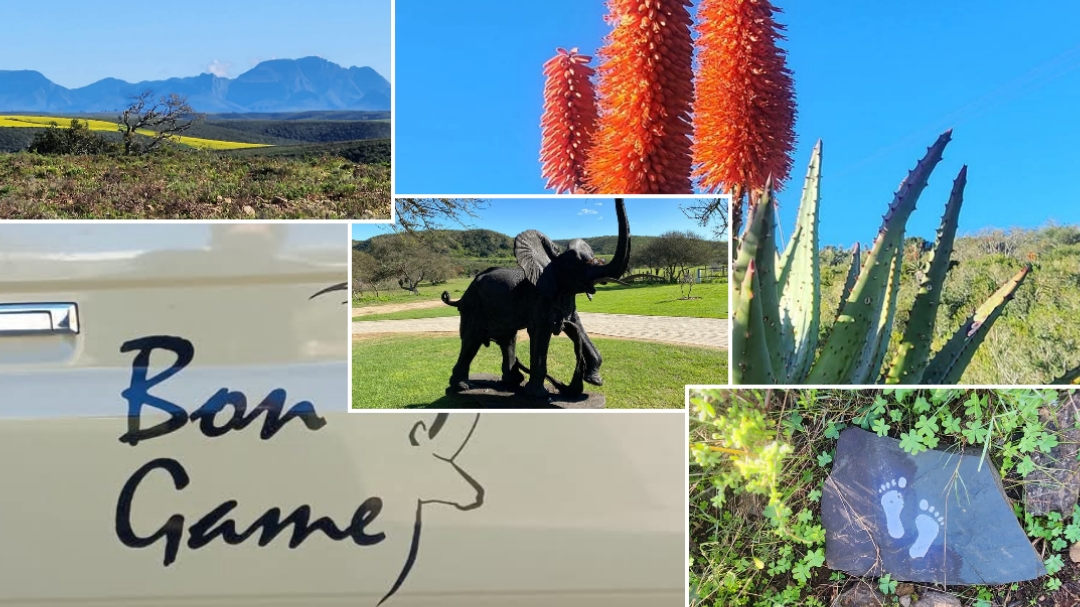 Bon Game Farm 10km Hike | Entry Ninja – the best outdoor, fitness and ...